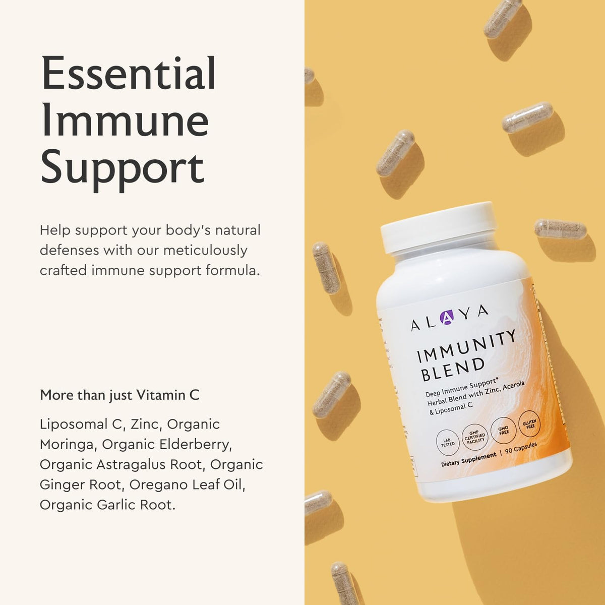 whole food multivitamin for daily health