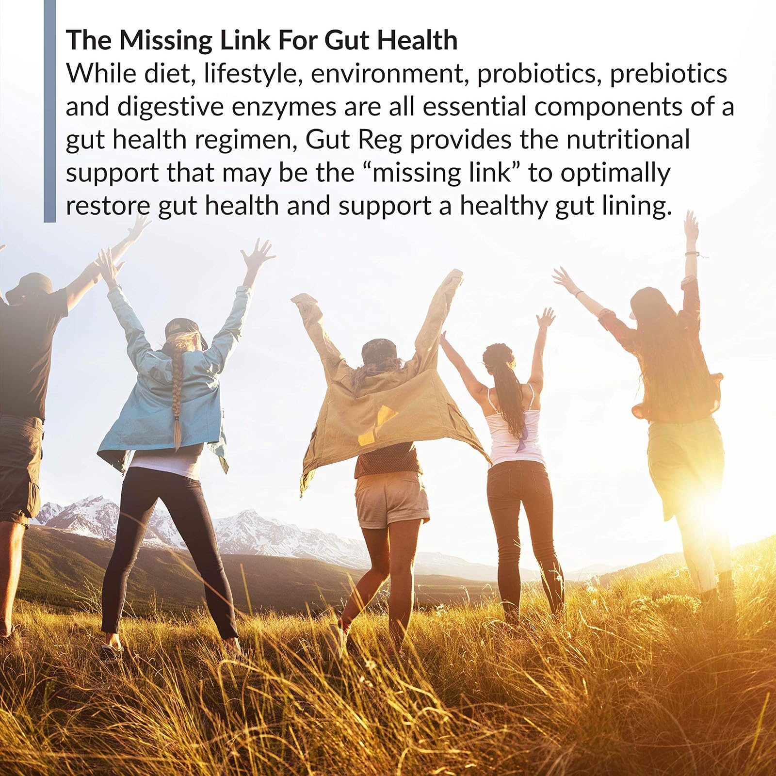 whole food multivitamin for daily nutrition