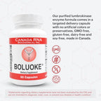 whole food multivitamin for daily nutrition