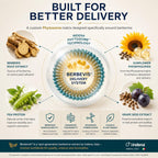 Whole food multivitamin for daily nutrition