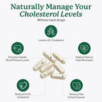 whole food multivitamin for daily nutrition