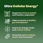 Whole food multivitamin for daily nutrition
