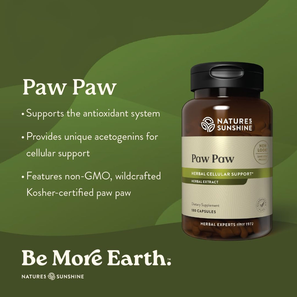 whole food multivitamin for daily nutrition