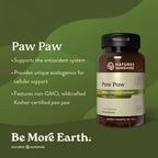whole food multivitamin for daily nutrition