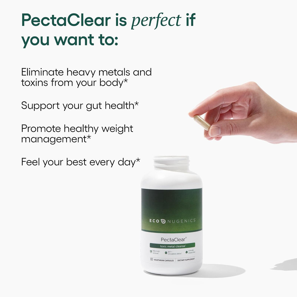 whole food multivitamin for daily nutrition