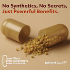 whole food multivitamin for daily nutrition