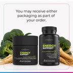 whole food multivitamin for daily vitality