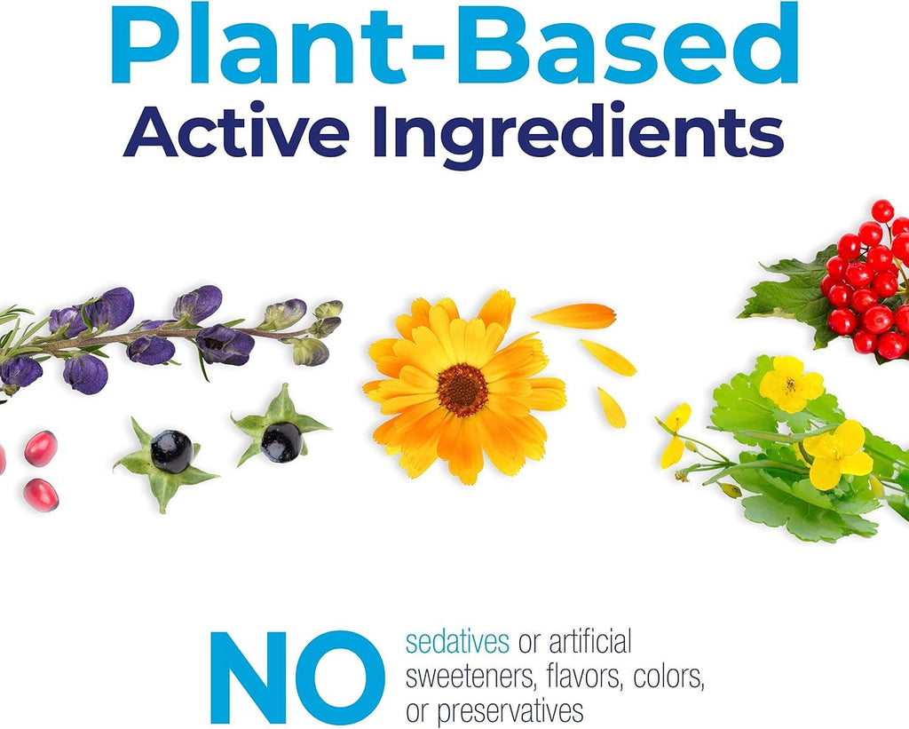 whole food multivitamin for daily wellness
