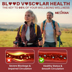 whole food multivitamin for daily wellness