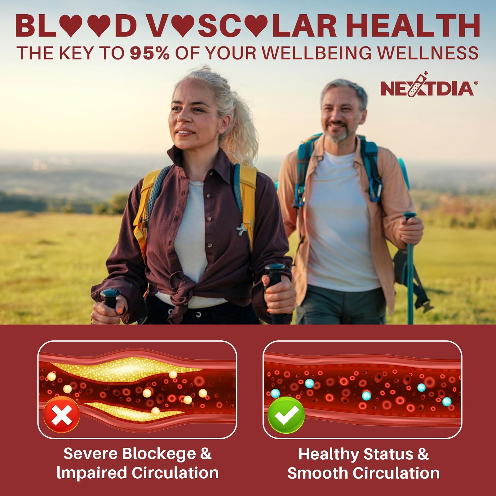 whole food multivitamin for daily wellness