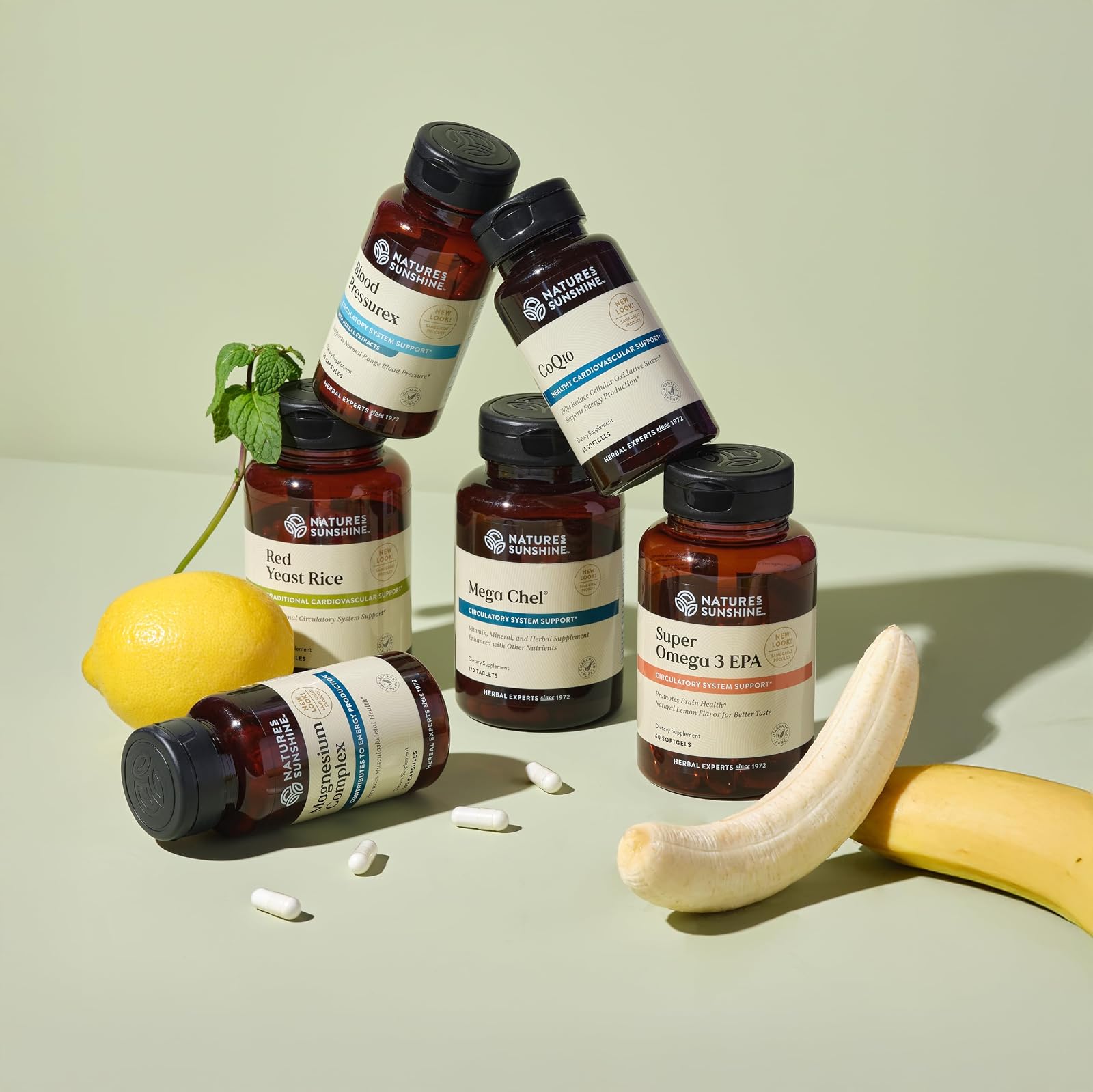 whole food multivitamin for daily wellness