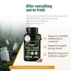 whole food multivitamin for daily wellness