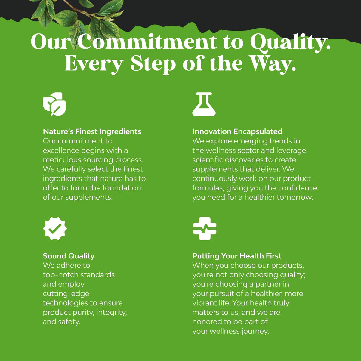 Whole food multivitamin for daily wellness