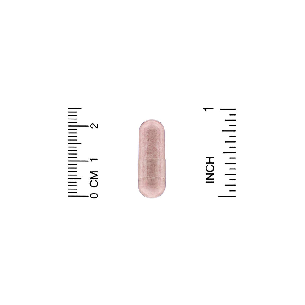 whole food multivitamin for daily wellness