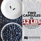 whole food multivitamin for daily wellness