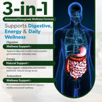 whole food multivitamin for daily wellness