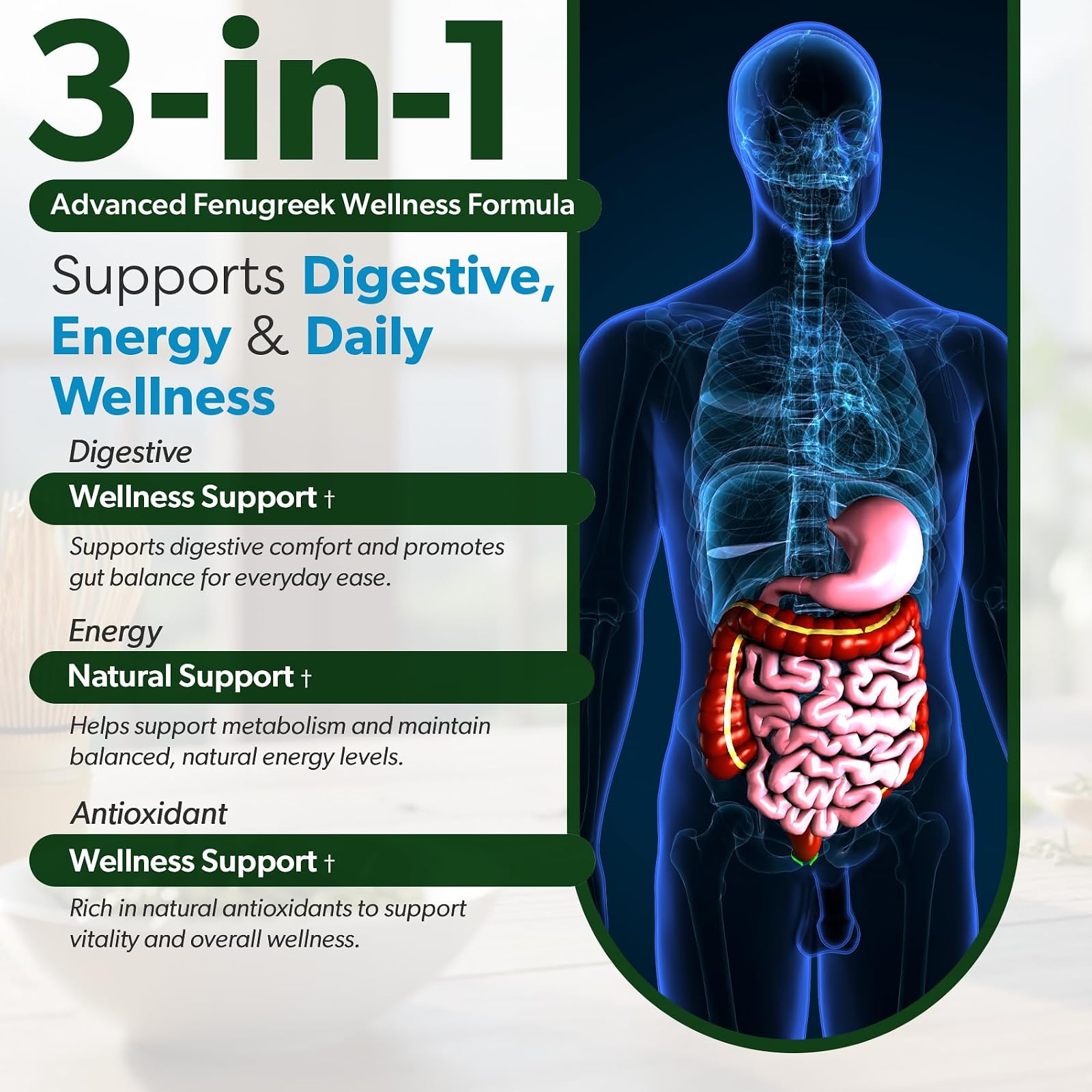whole food multivitamin for daily wellness
