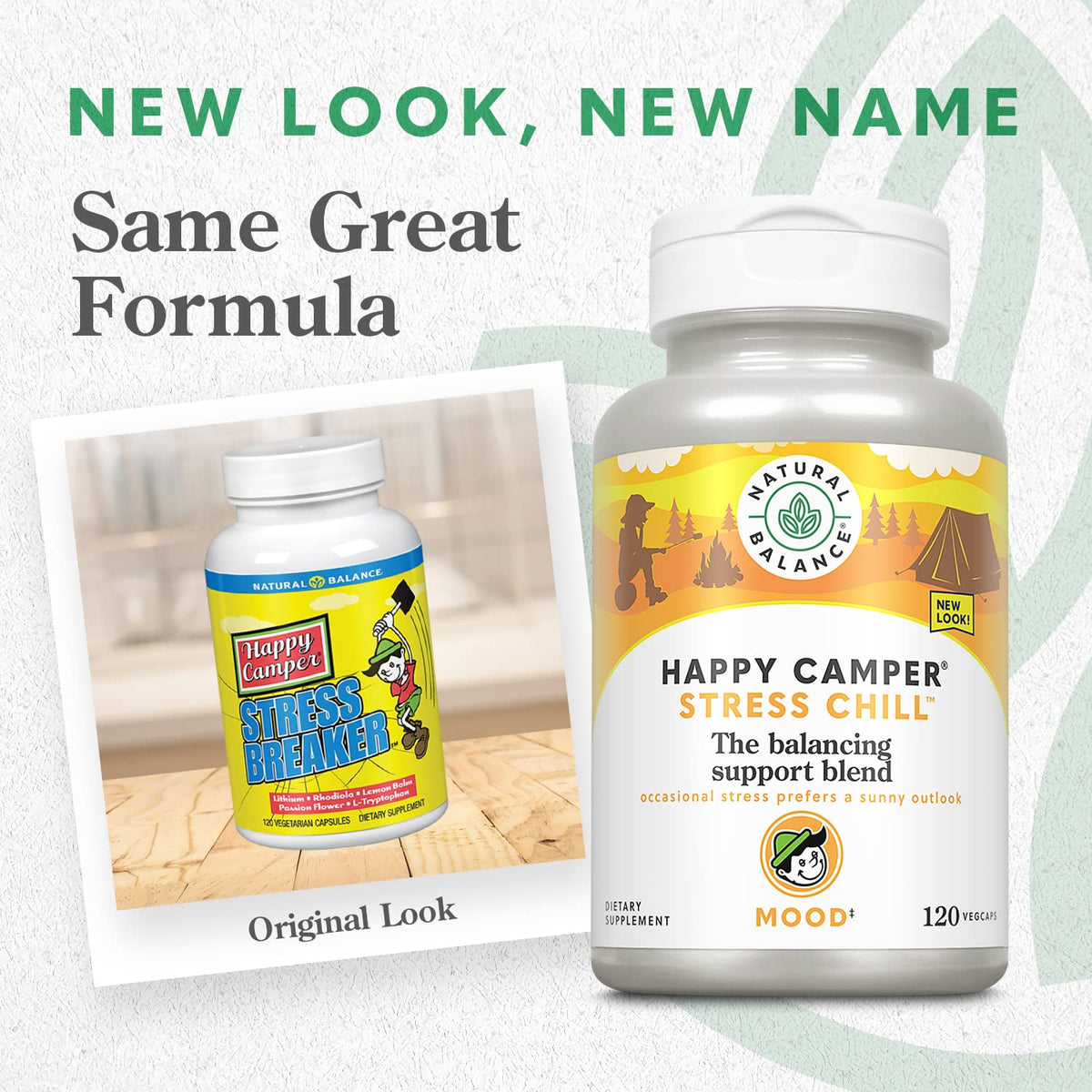 whole food multivitamin for daily wellness