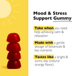 whole food multivitamin for daily wellness