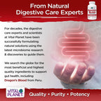 whole food multivitamin for daily wellness