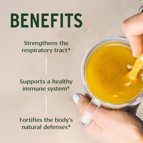 whole food multivitamin for daily wellness