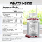 whole food multivitamin for daily wellness