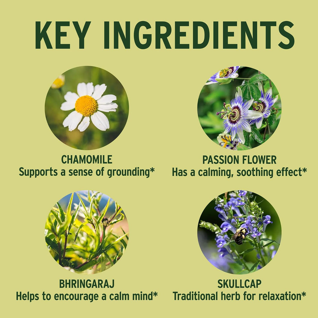 whole food multivitamin for daily wellness