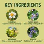 whole food multivitamin for daily wellness