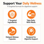 whole food multivitamin for daily wellness