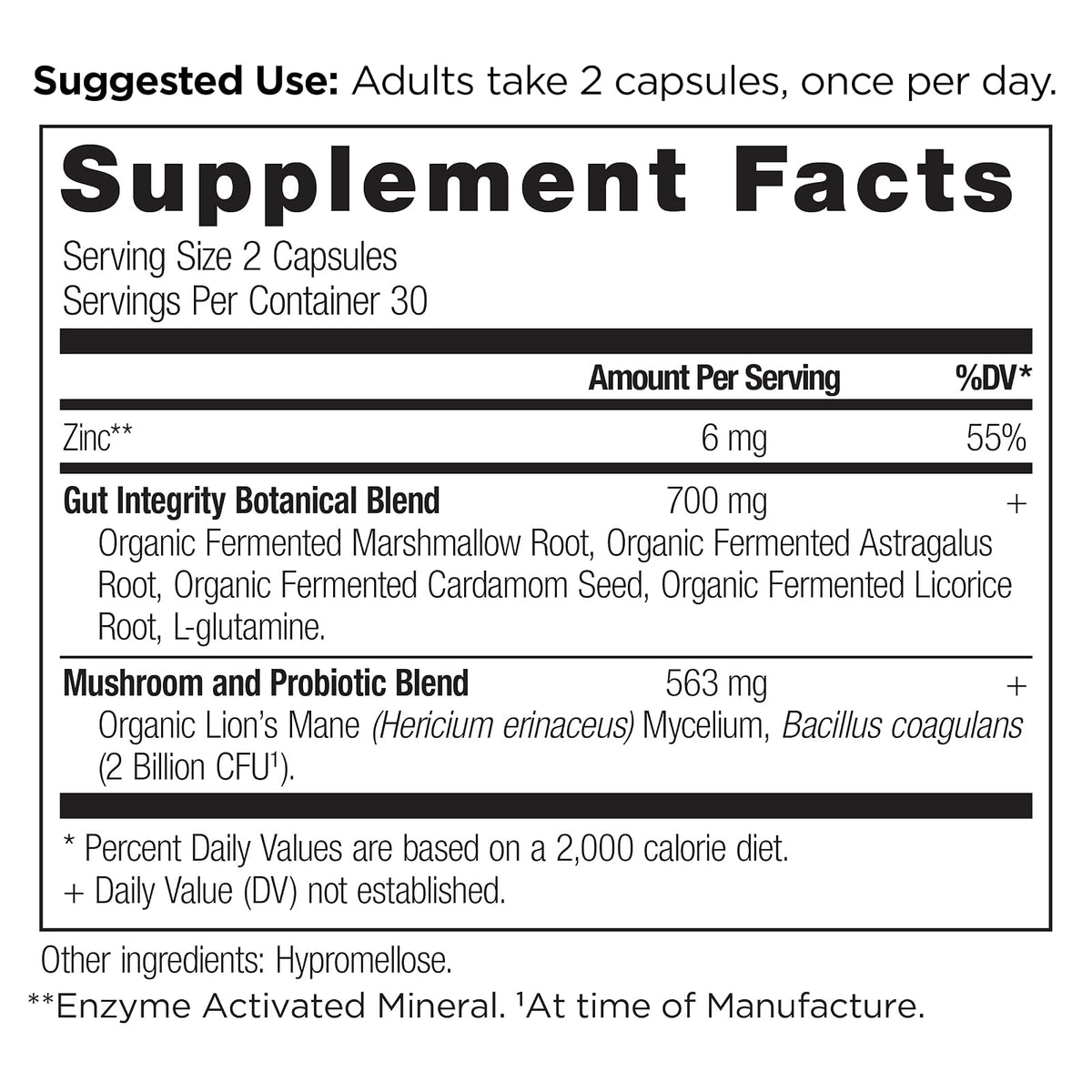 whole food multivitamin for daily wellness