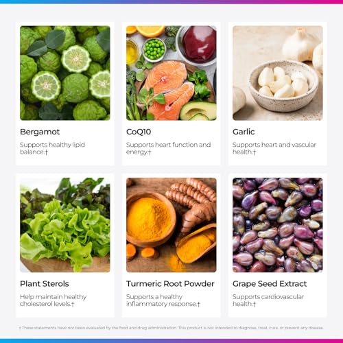 whole food multivitamin for daily wellness