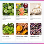 whole food multivitamin for daily wellness