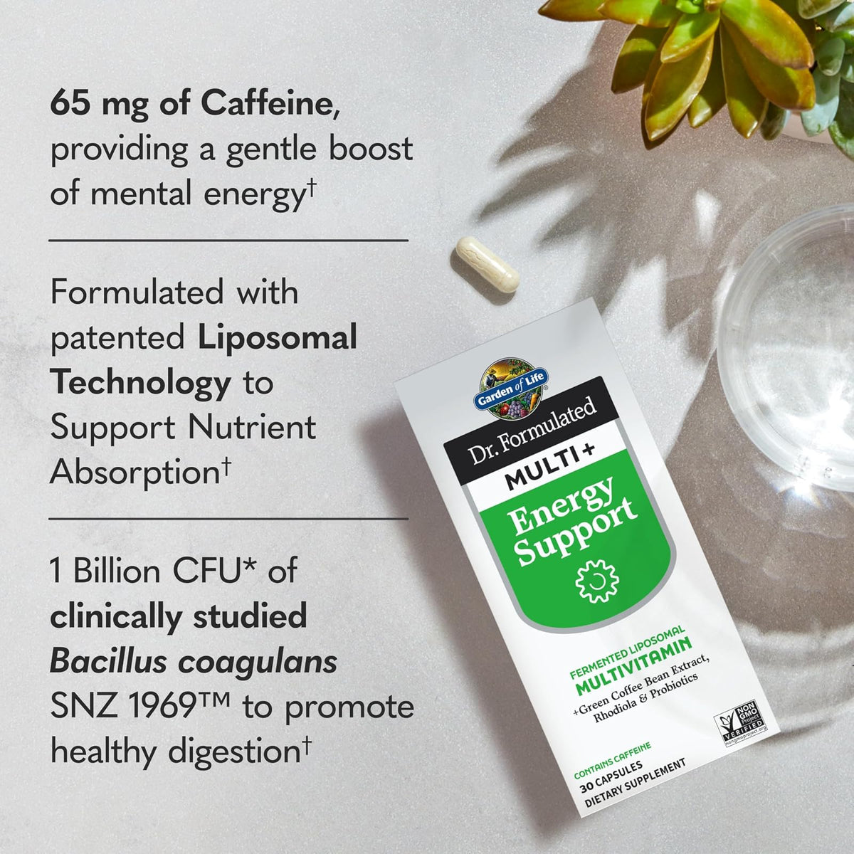 whole food multivitamin for daily wellness