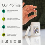 whole food multivitamin for daily wellness