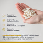 whole food multivitamin for daily wellness