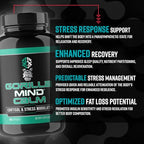 whole food multivitamin for daily wellness