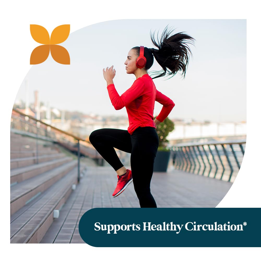 whole food multivitamin for daily wellness