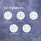 whole food multivitamin for daily wellness
