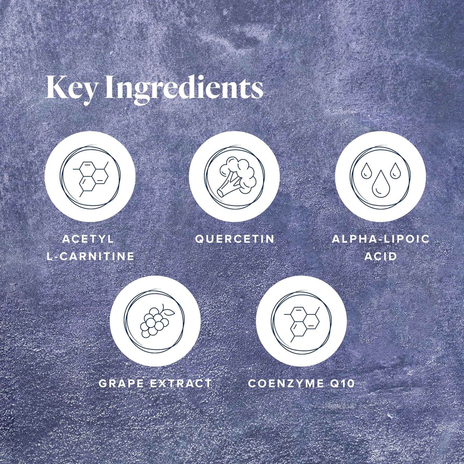 whole food multivitamin for daily wellness
