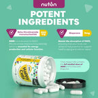 whole food multivitamin for daily wellness