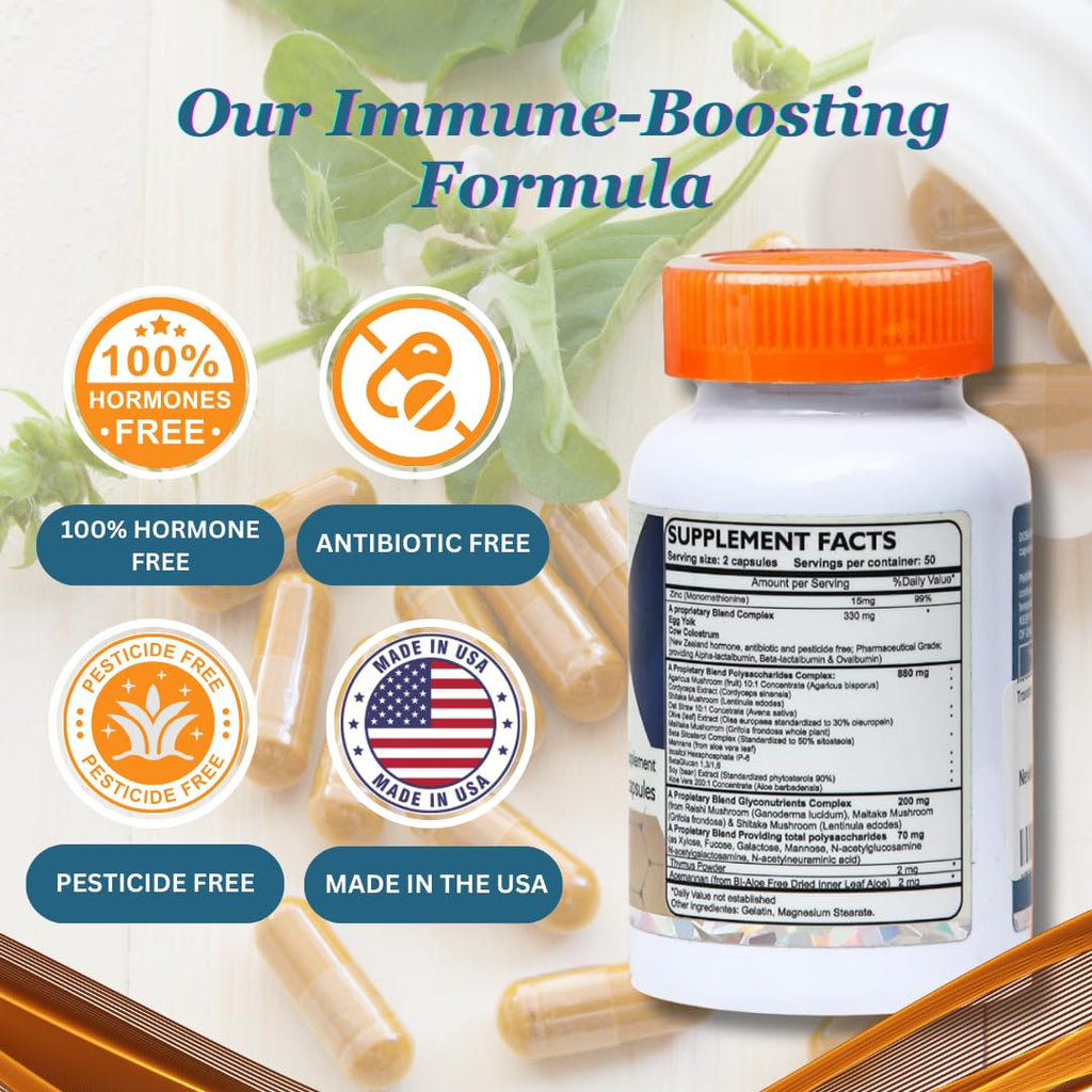 whole food multivitamin for daily wellness