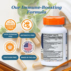 whole food multivitamin for daily wellness
