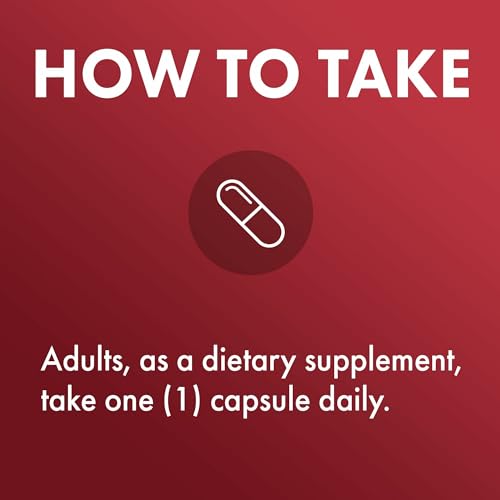 whole food multivitamin for daily wellness