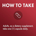 whole food multivitamin for daily wellness