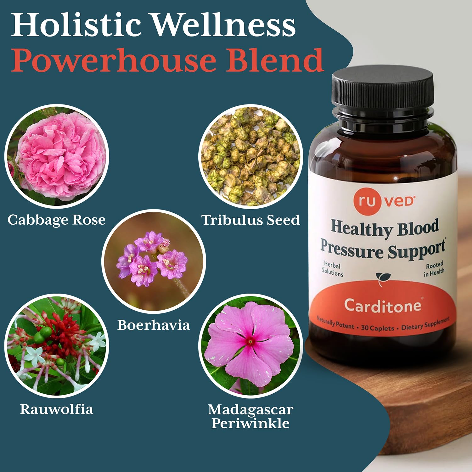 whole food multivitamin for daily wellness