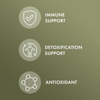 whole food multivitamin for daily wellness