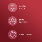 whole food multivitamin for daily wellness