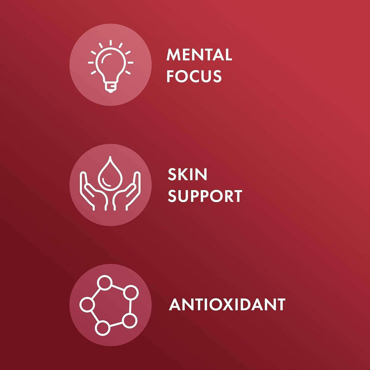 whole food multivitamin for daily wellness