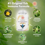 whole food multivitamin for daily wellness