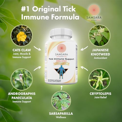 whole food multivitamin for daily wellness